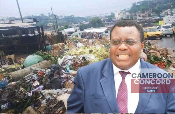 Roads Crumble and Waste Piles Up in Yaoundé, butJean De Dieu Momo Says ...